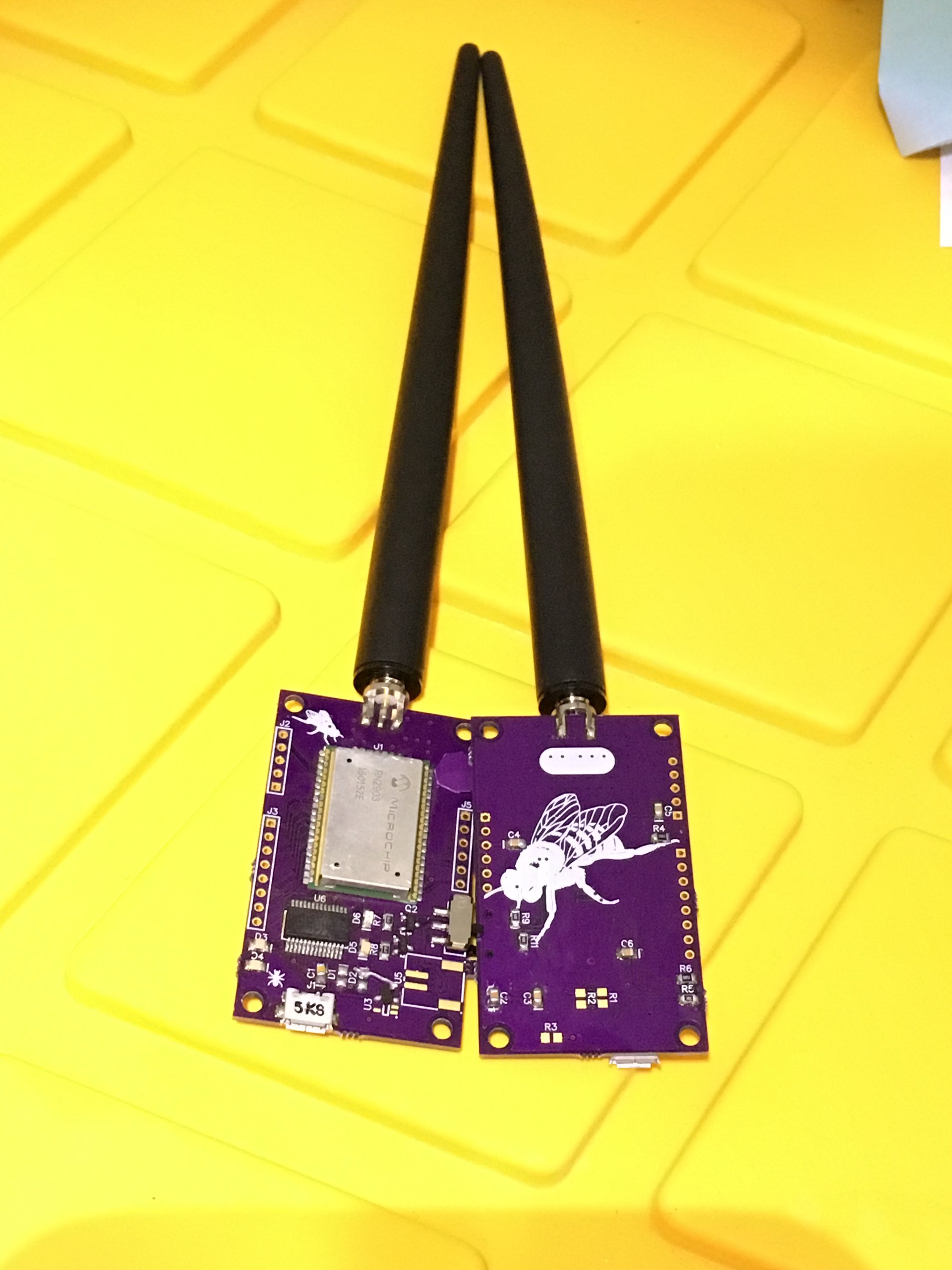 LoRA Development Boards (2 boards) from jose_navarro on Tindie