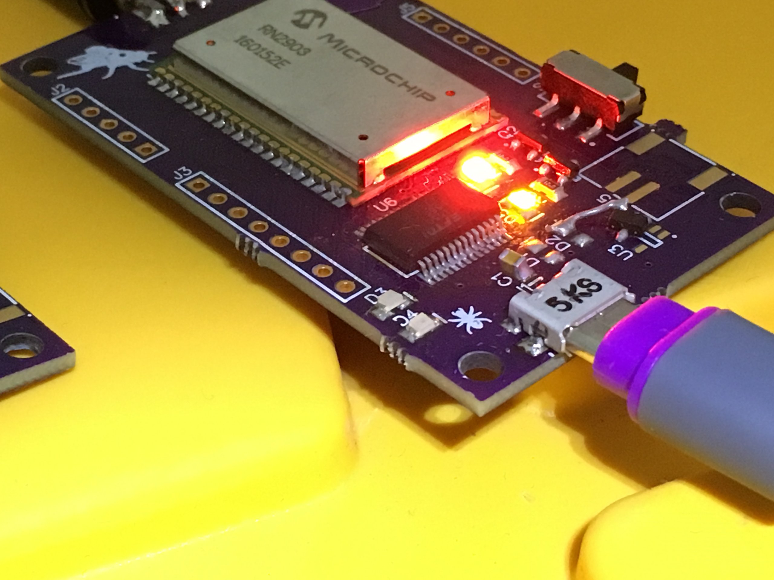 LoRA Development Boards (2 boards) from jose_navarro on Tindie