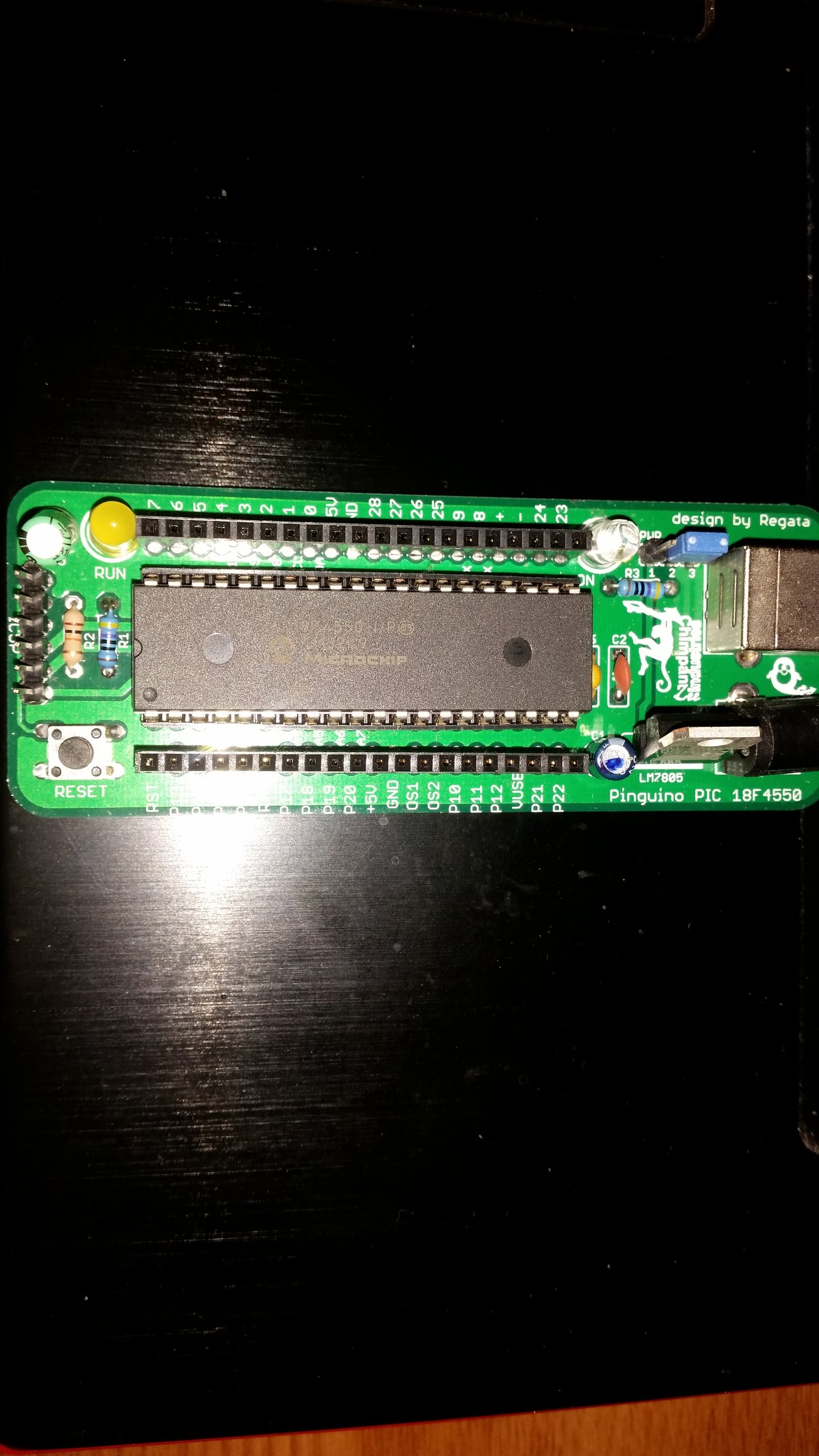 PINGUINO PIC18F4550 DEV BOARD from Regata on Tindie