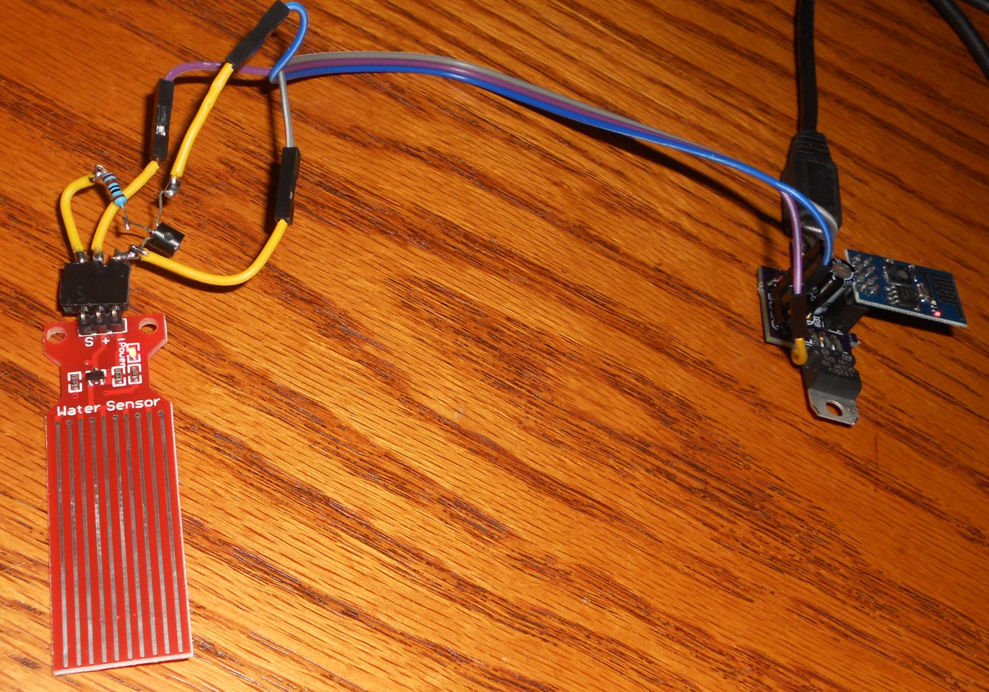 Text sending water sensor from Paulware on Tindie